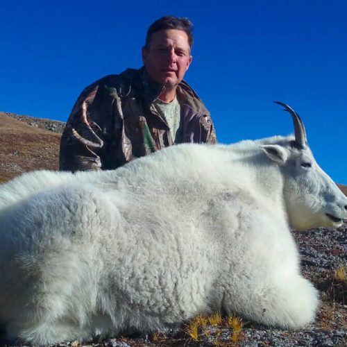 Mountain Goat Hunting Guides - Horn Fork Guides