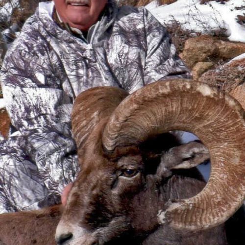 Bighorn Sheep Hunting Guides - Horn Fork Guides