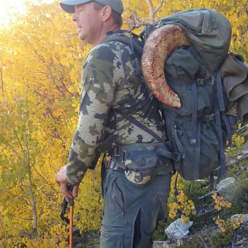 Bighorn Sheep Hunting Guides - Horn Fork Guides