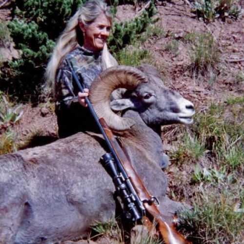 Bighorn Sheep Hunting Guides - Horn Fork Guides