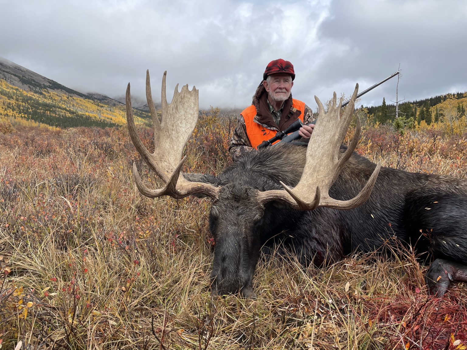 Shiras Moose Field Judging - Horn Fork Guides